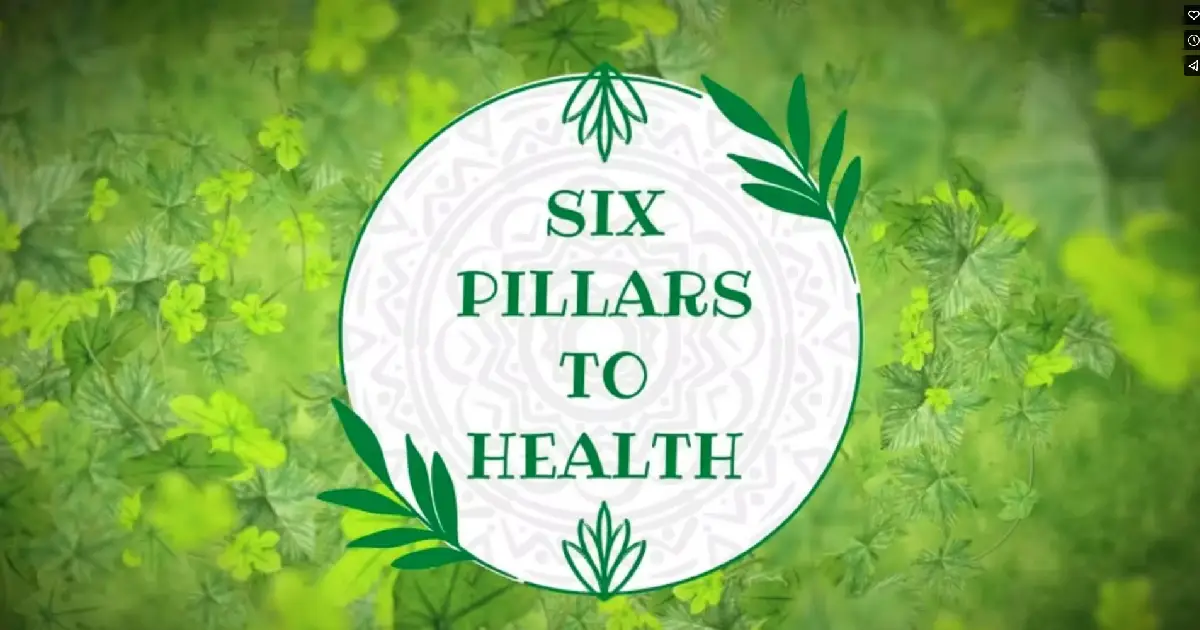 SIX PILLARS OF HEALTH - Plantspiration